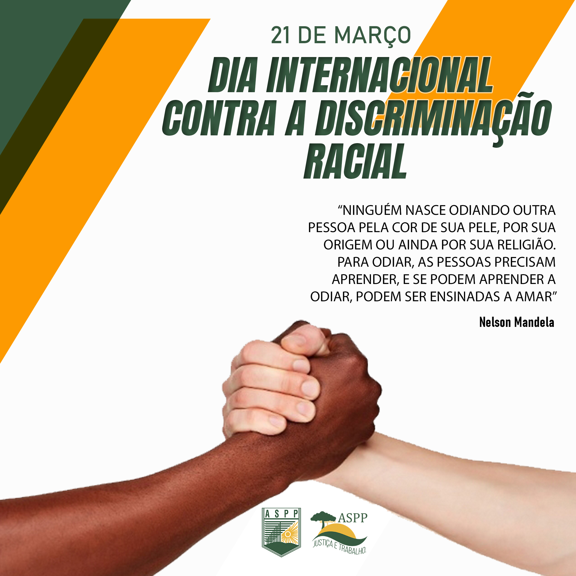 Texto Sobre Discriminação Racial - FDPLEARN